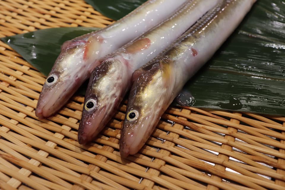 Private Sushi Class – Learn at the most popular sushi school in Japan ...